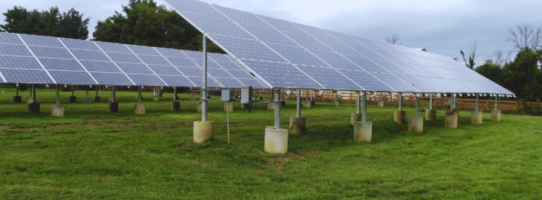 How Solar Power is Being Used to Combat Deforestation (2025) | 8MSolar